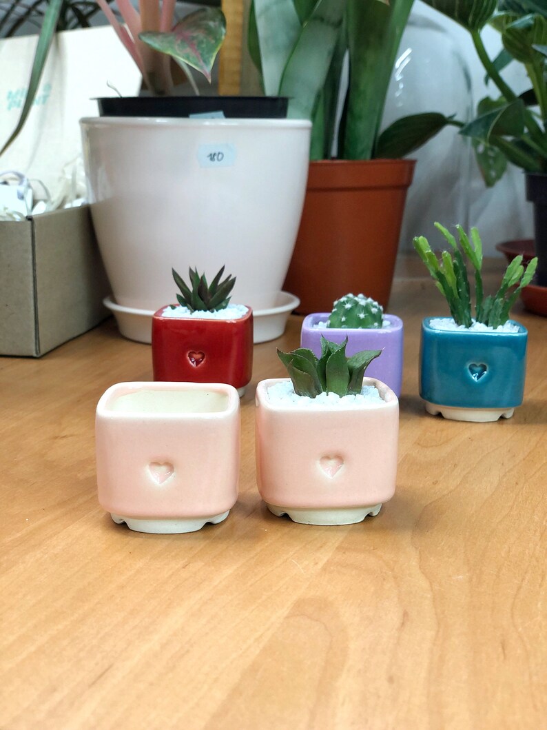 Small Pink Succulent Pot With Hearts Cute Plant Gift Baby | Etsy