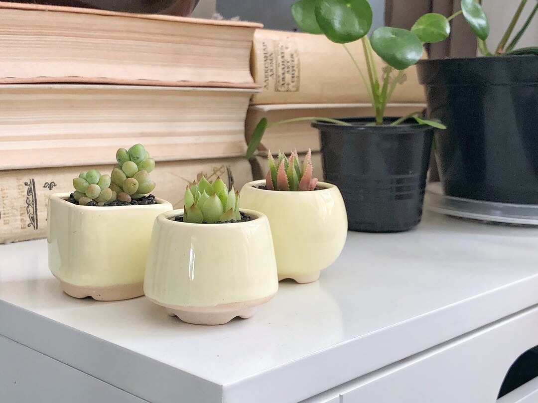 Yellow Small Plant Pot, Set of 3 Ceramic Planters for Succulent, Cactus ...