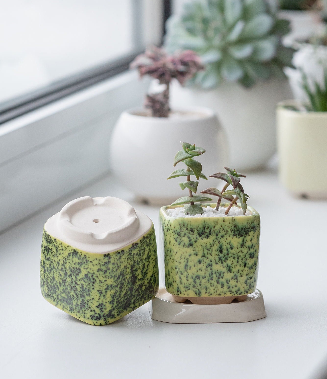 Lime and Green Small Plant Pot Set of 3 Ceramic Planter | Etsy