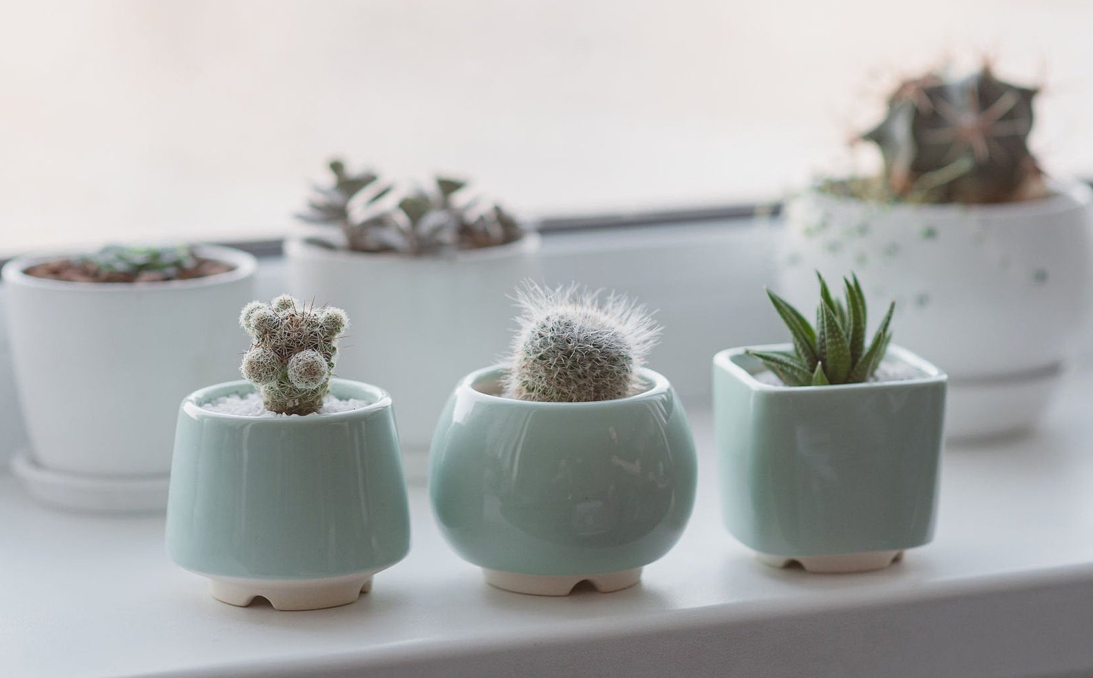 Green Mint Small Plant Pot S Size Set of 3 Ceramic Planter for - Etsy