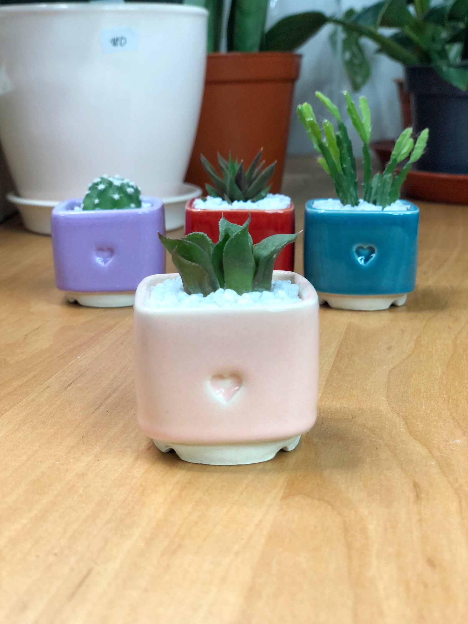 Small Pink Succulent Pot With Hearts Cute Plant Gift Baby - Etsy