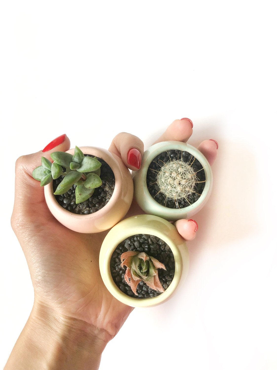 Mini Succulent Pot Pastel Color Set M Size Mint Pink | Etsy