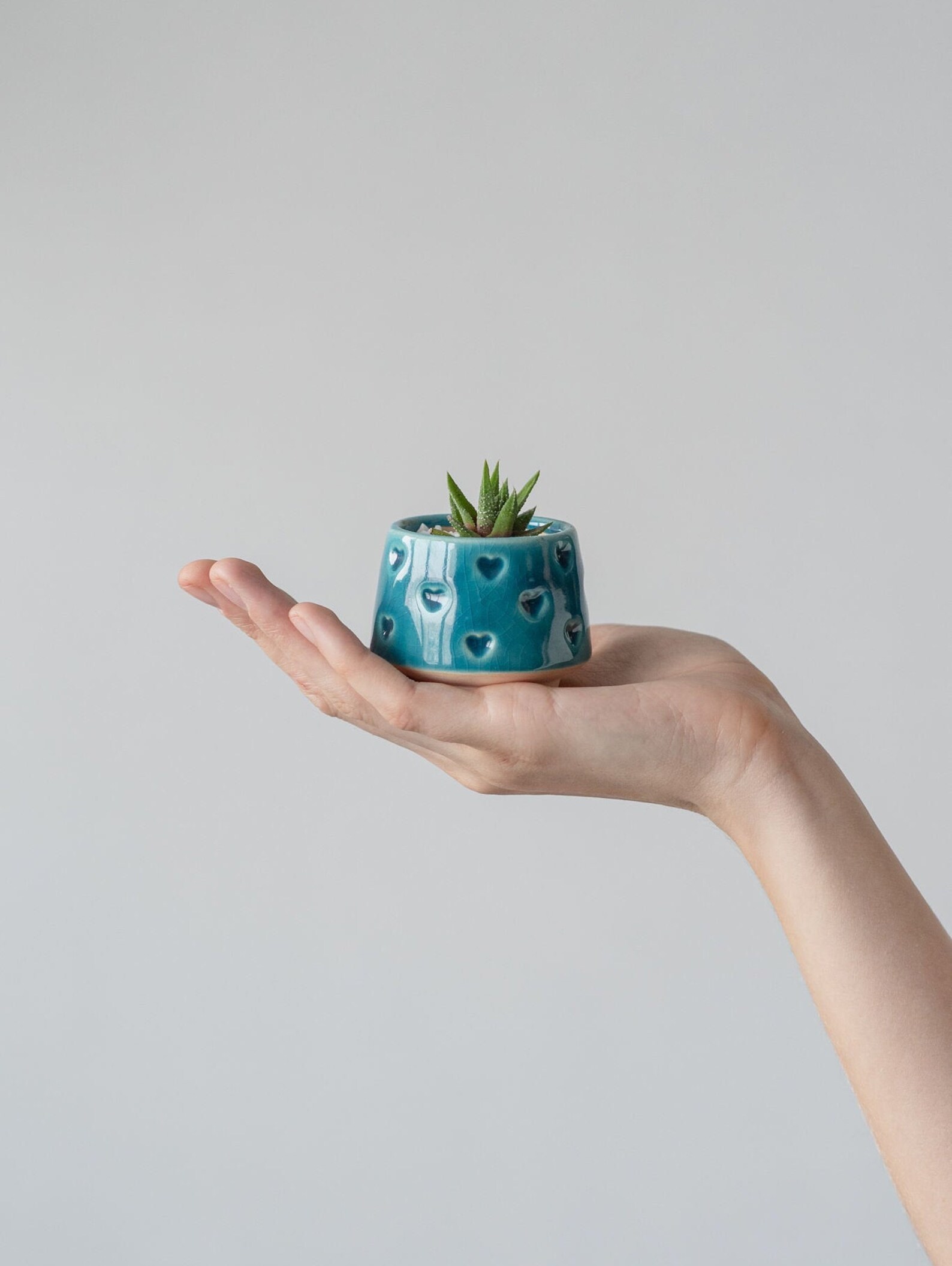 Pink Mini Succulent Planter With Hearts Rose Little Pot Cute - Etsy