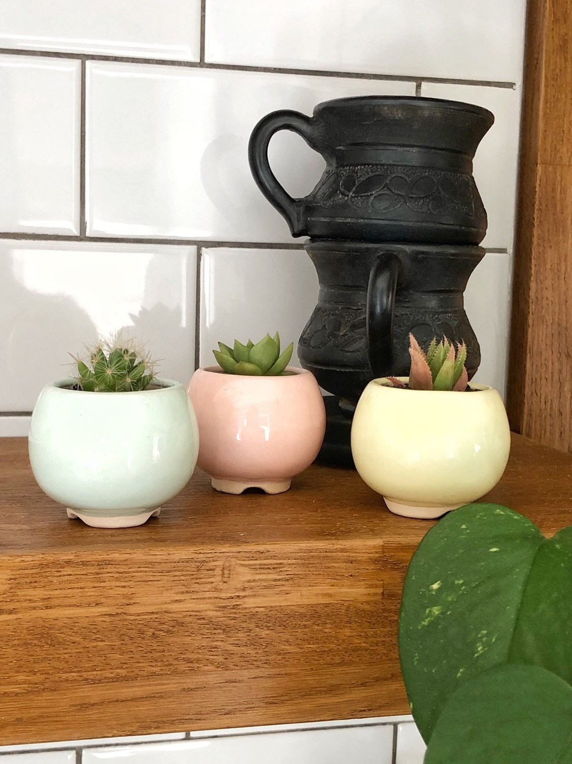 Mini Succulent Pot Pastel Color Set M Size Mint Pink | Etsy