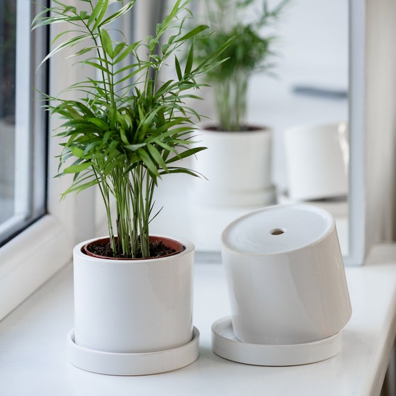 White Medium Ceramic Plant Pot 4 Inch Cylinder Minimalistic | Etsy
