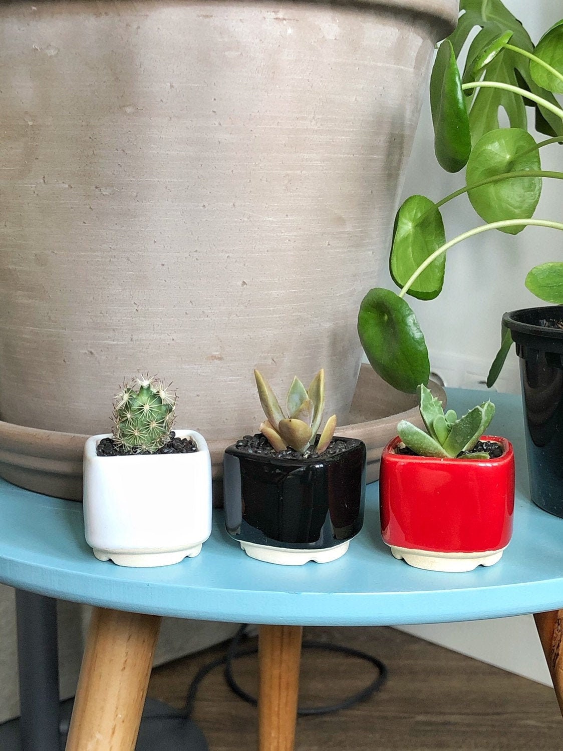 Quadro Mini Plant Pot Classic color set Red White Black | Etsy