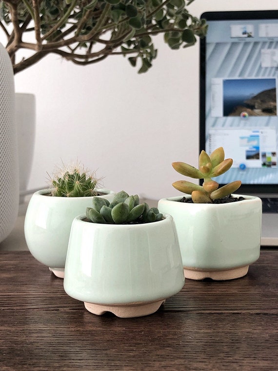 Green Mint Small Plant Pot S Size Set of 3 Ceramic Planter for - Etsy
