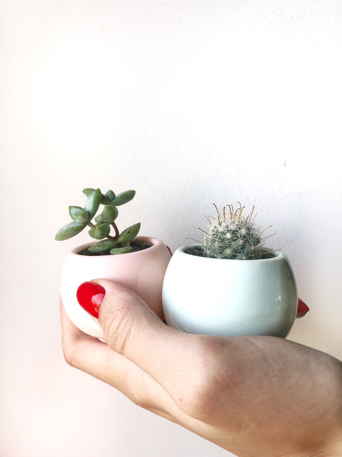 Mini Succulent Pot Pastel Color Set M Size Mint Pink | Etsy