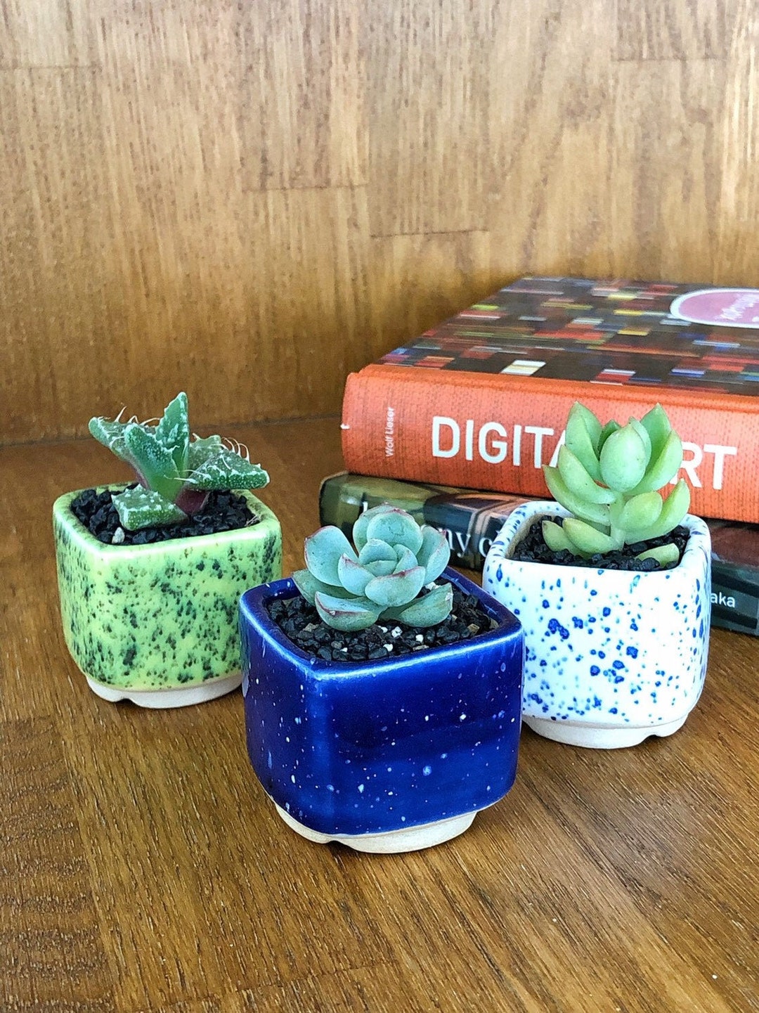 Small Mini Plant Pot Spotted Set Set of 3 White Blue Yellow Green ...