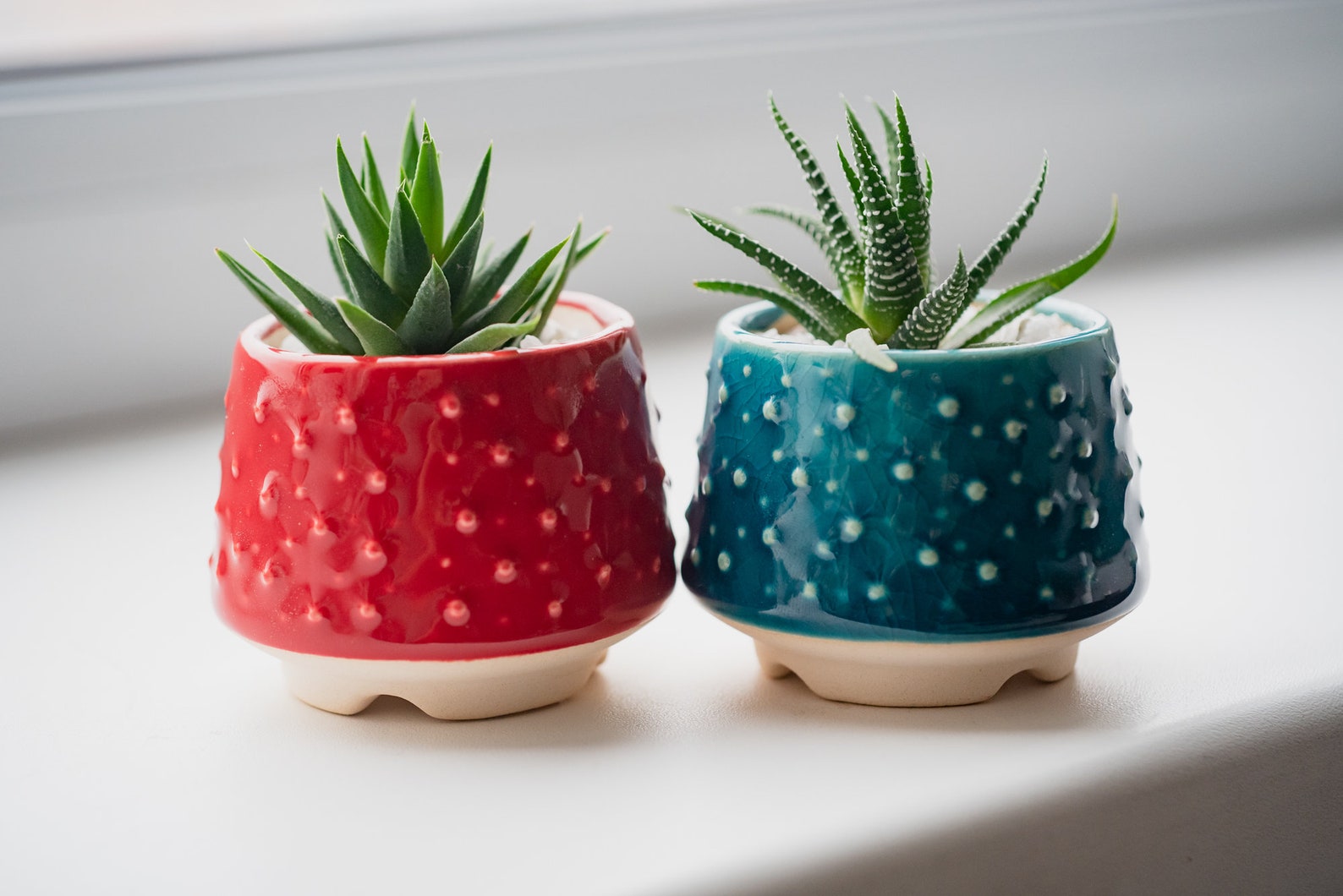 Small Teal Bumpy Succulent Pot Little Planter Handmade - Etsy