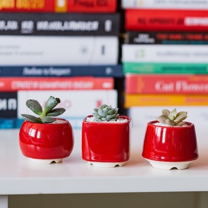 Red Small Plant Pot S Size Set of 3 Ceramic Planter for Succulent ...
