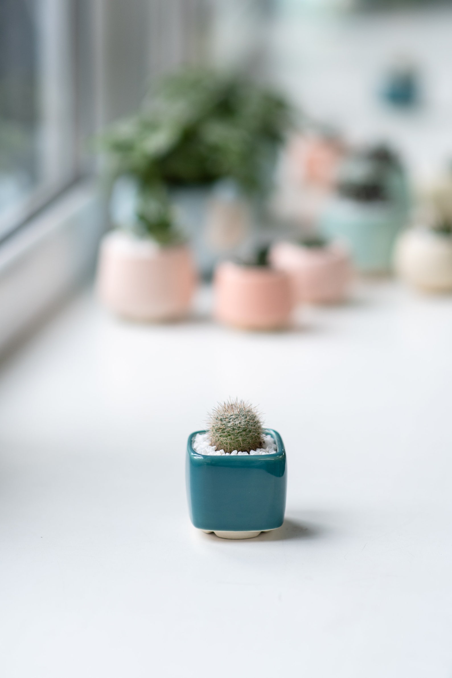 Turquoise Small Plant Pot M Size Set of 3 Ceramic Pot for - Etsy