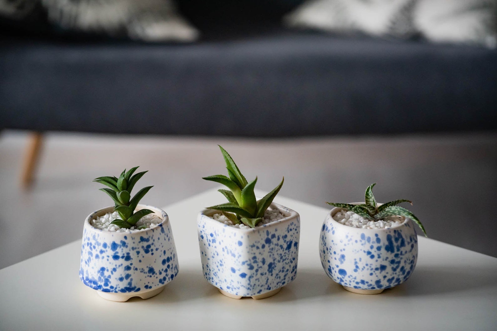 White and Blue Succulent Pot M Size Ceramic Planter for | Etsy