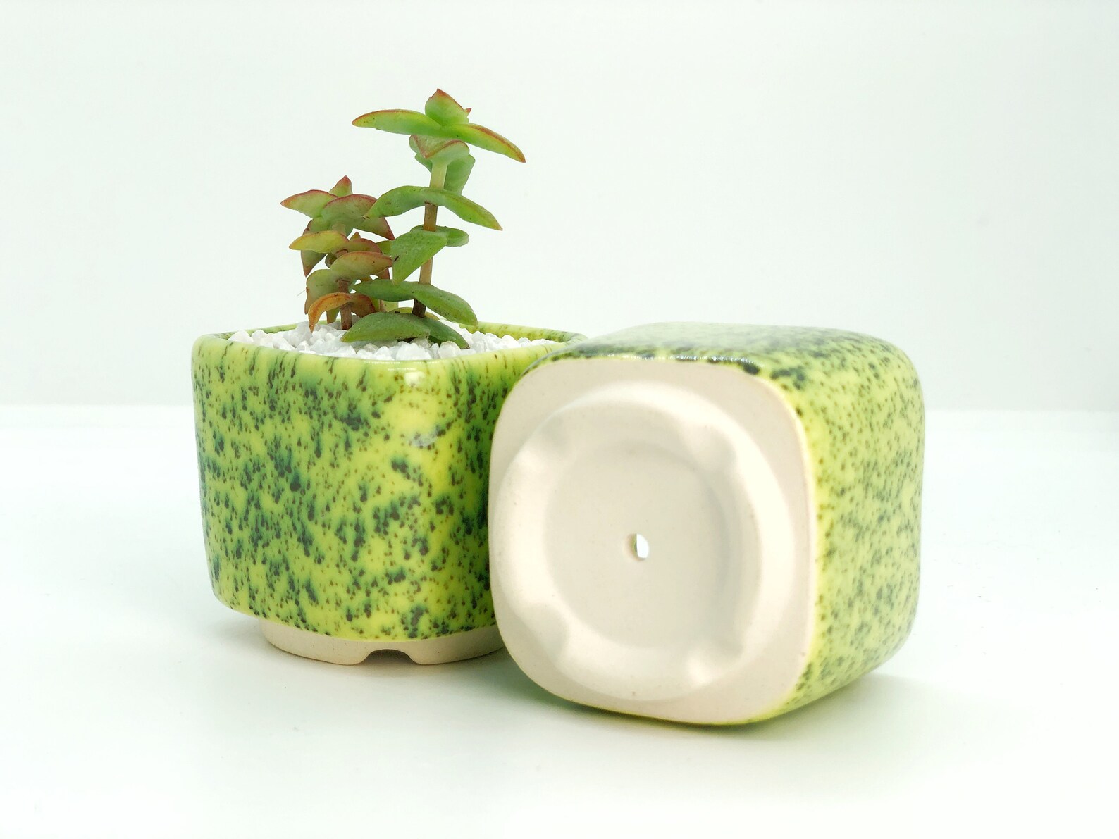 Lime and Green Succulent Pot Cute Plant Pot 2 Inch Ceramic - Etsy