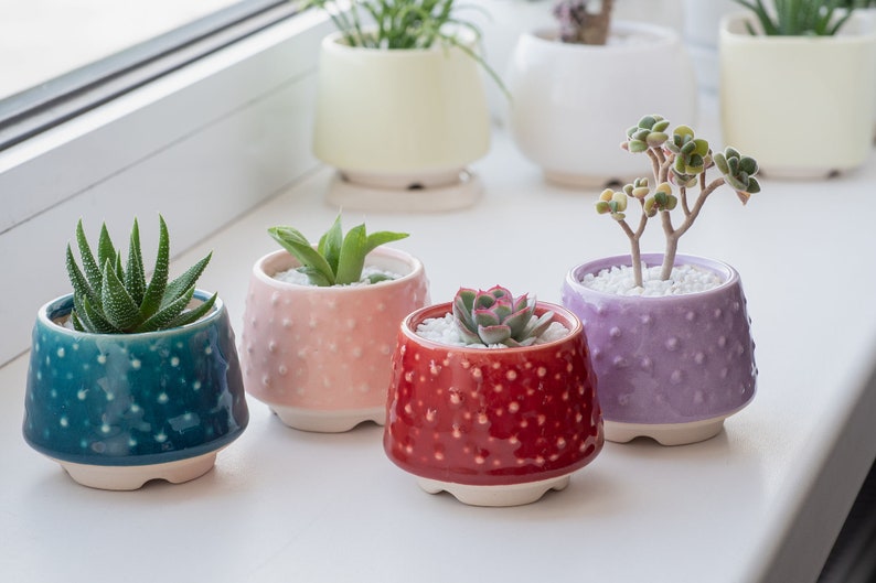 Pink Bubble Succulent Pot Mini Plant Planter Pretty Cactus - Etsy