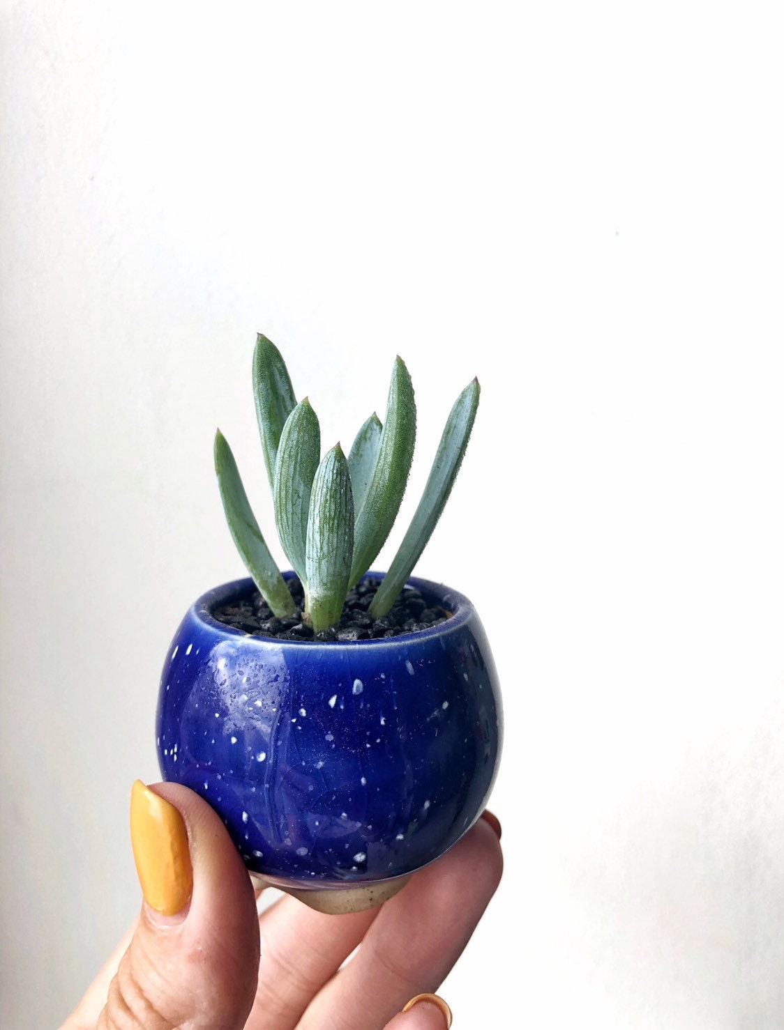 Blue and White Small Plant Pot S Size Set of 3 Ceramic | Etsy