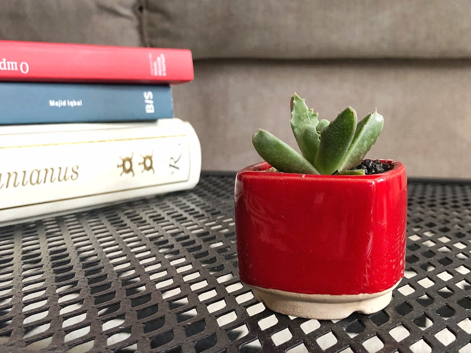 Red Small Plant Pot S Size Set of 3 Ceramic Planter for | Etsy