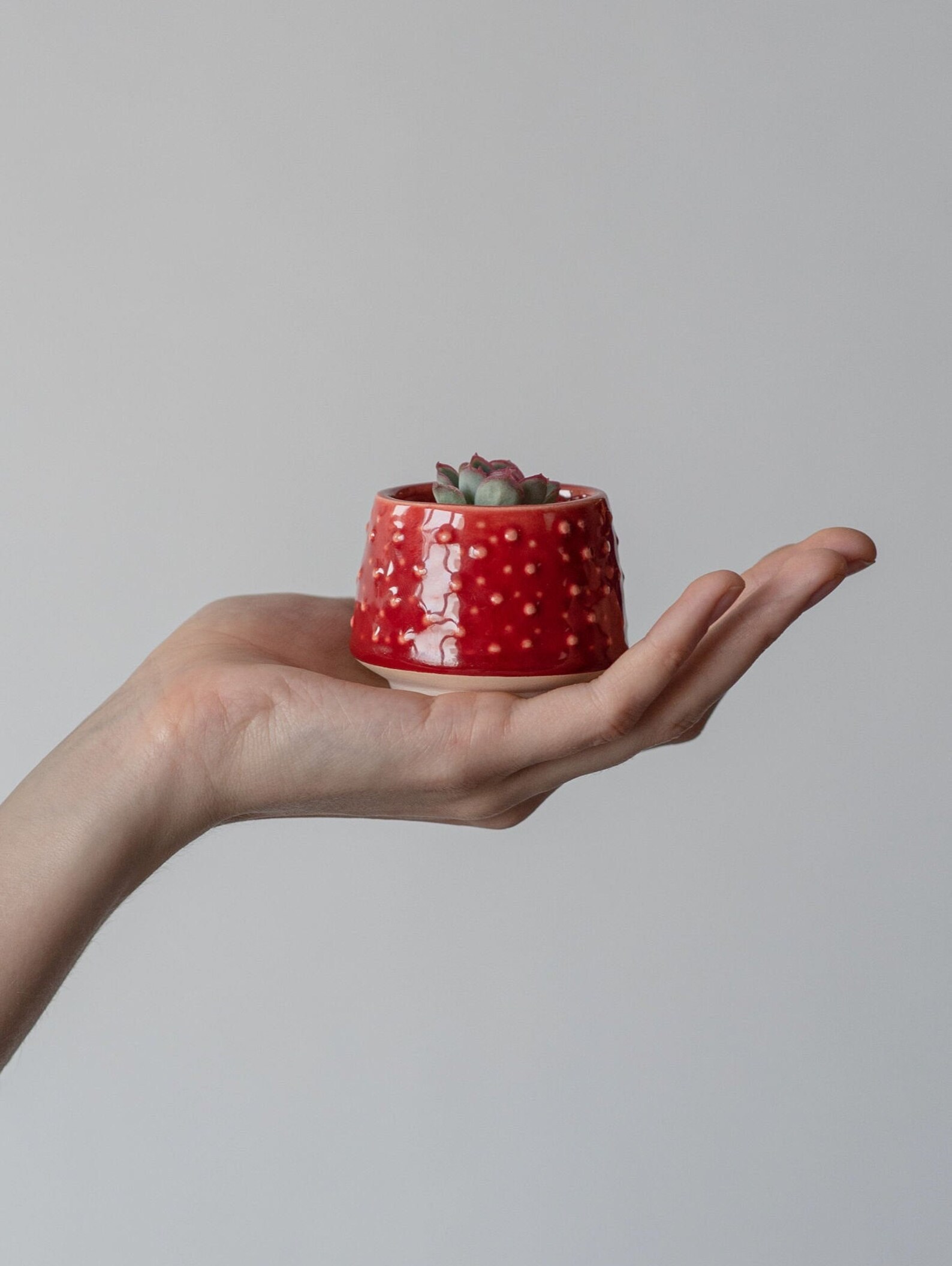 Pink Bubble Succulent Pot Mini Plant Planter Pretty Cactus - Etsy