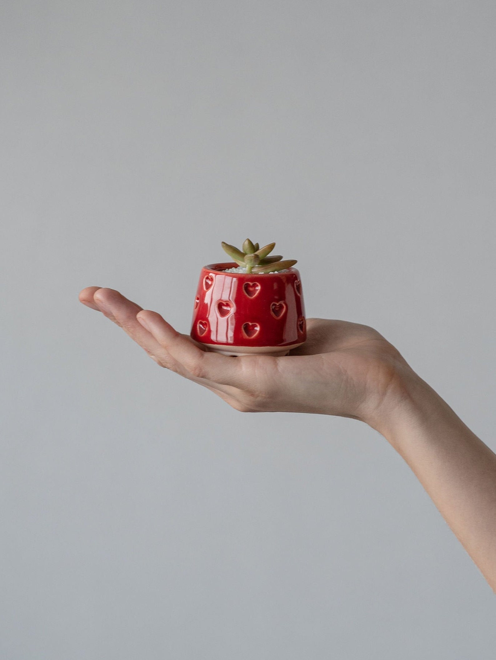 Pink Mini Succulent Planter With Hearts Rose Little Pot Cute - Etsy