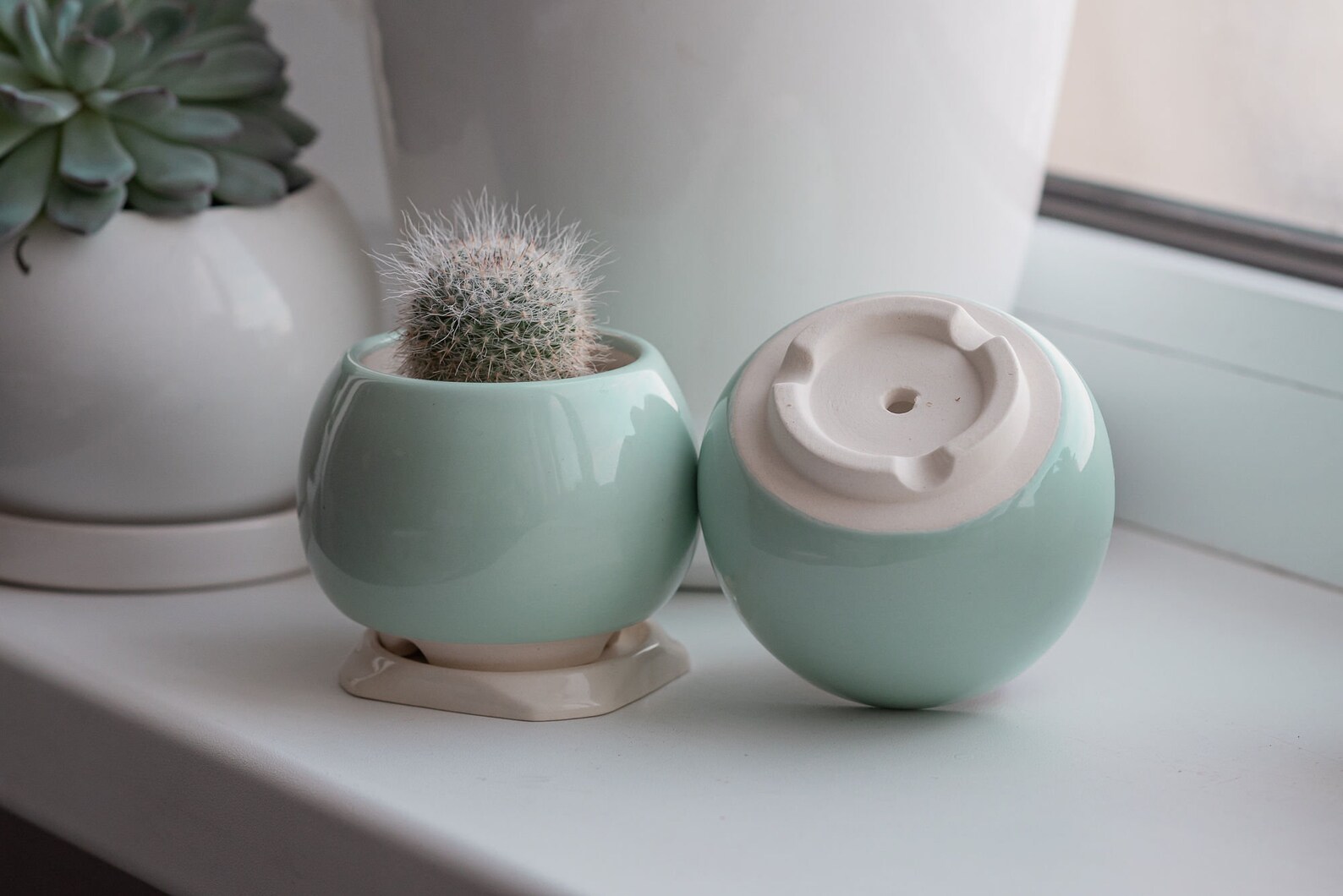Mini Succulent Pot Pastel Color Set M Size Mint Pink - Etsy