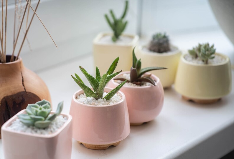Rose Pink Small Plant Pot M Size Set of 3 Ceramic | Etsy