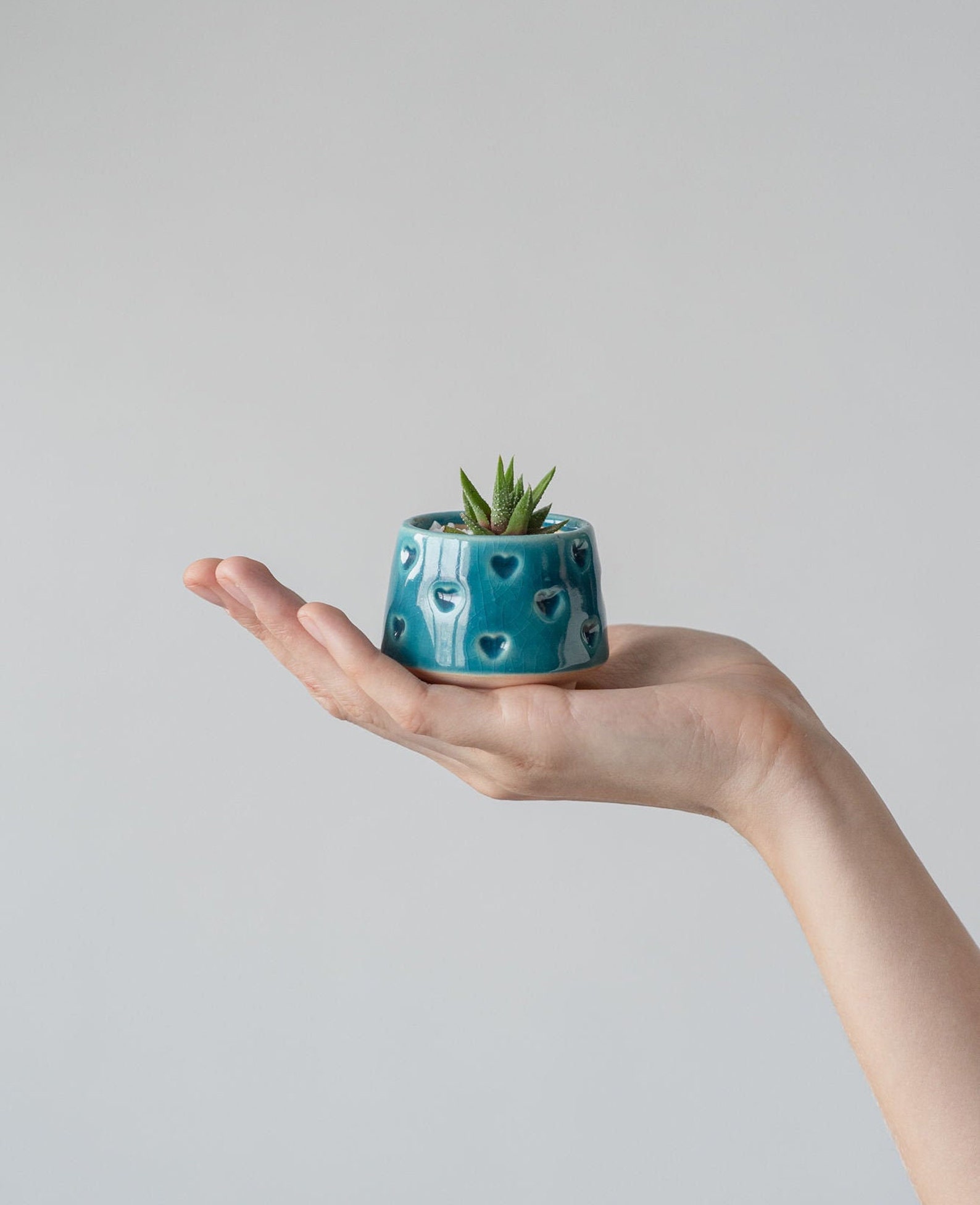 Turquoise small Succulent pot with hearts Succulent | Etsy
