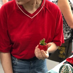 Red Small Plant Pot S Size Set of 3 Ceramic Planter for Succulent ...