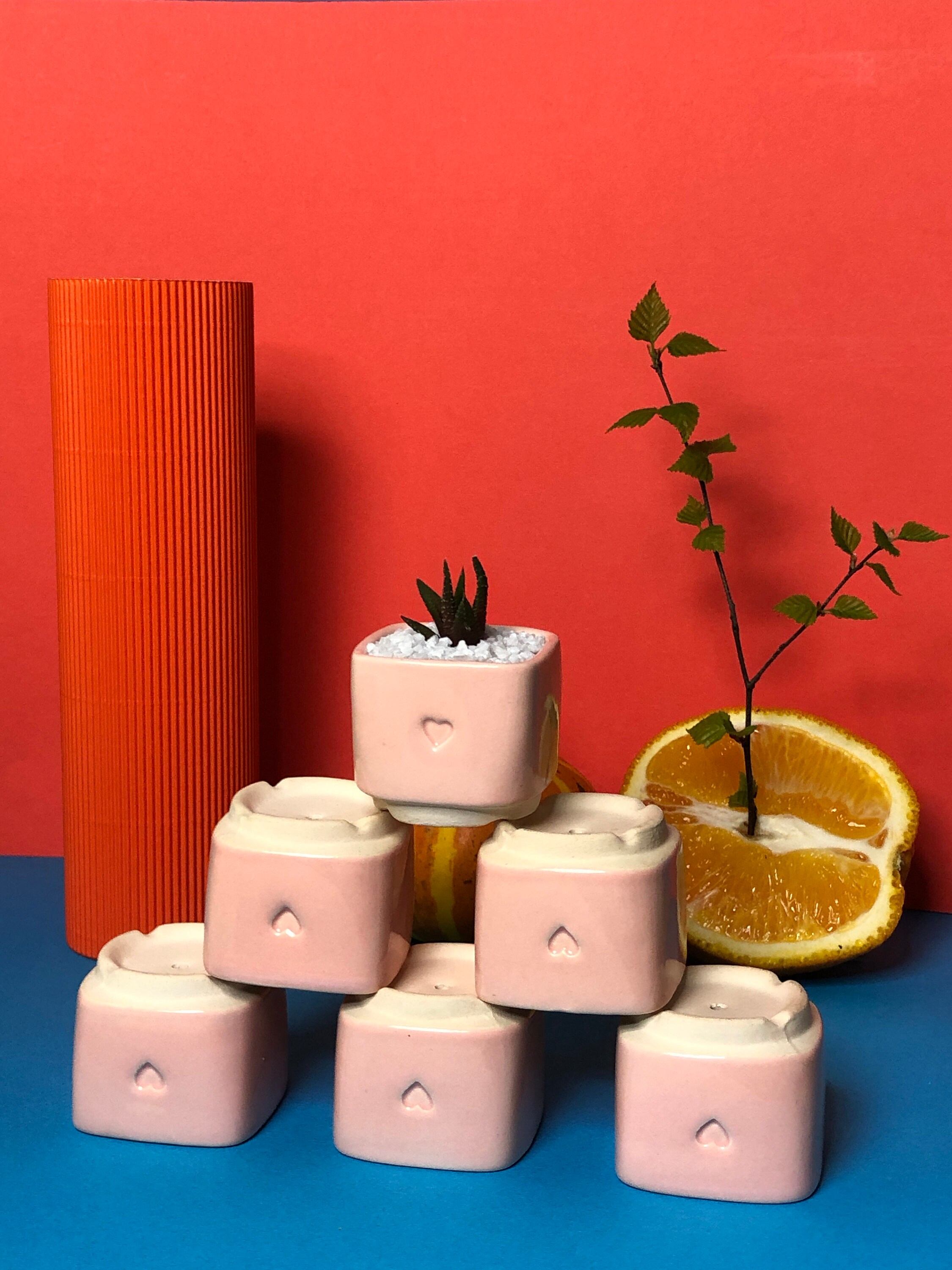 Small Pink Succulent Pot With Hearts Cute Plant Gift Baby - Etsy