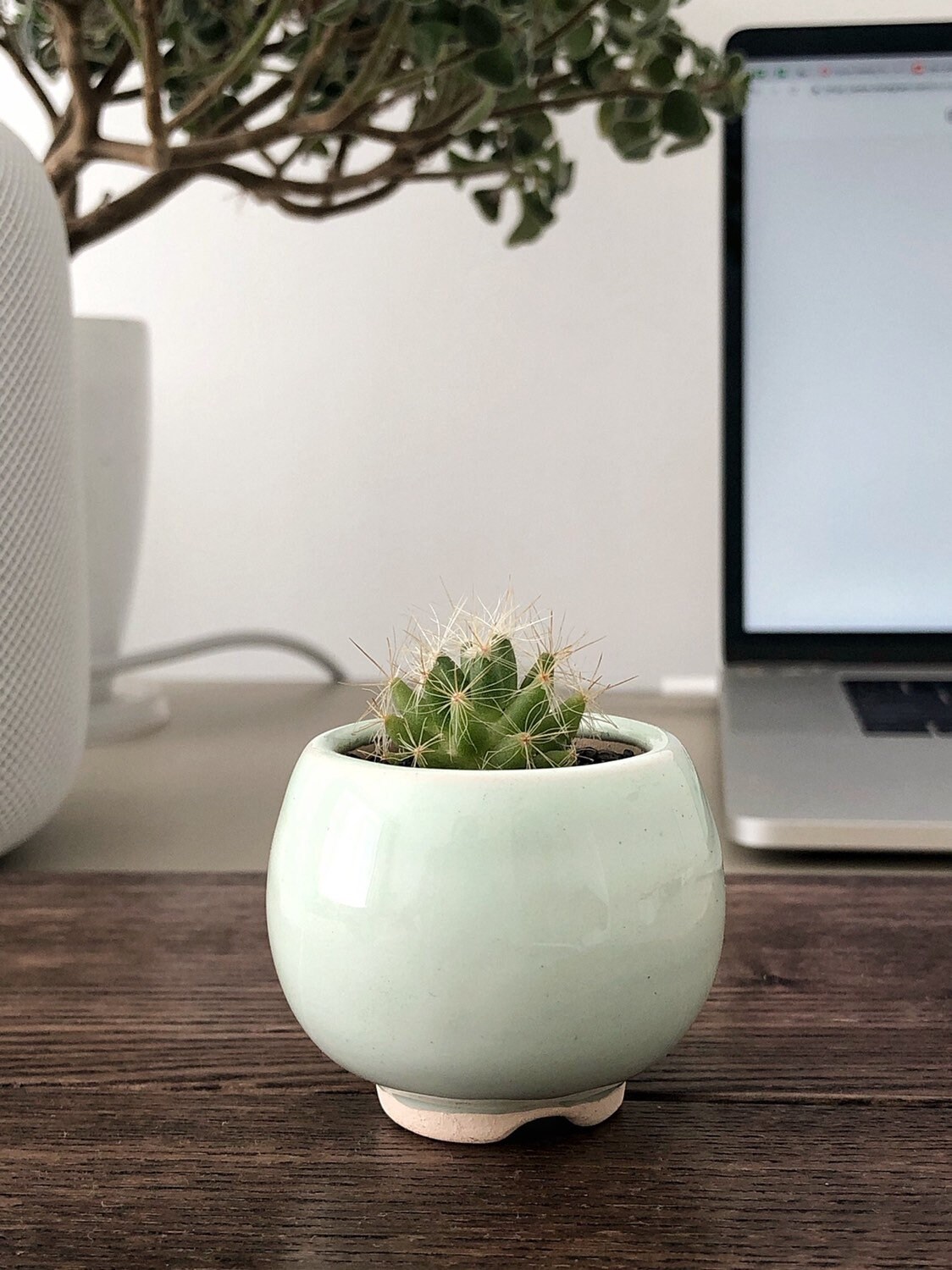 Mini Succulent Pot Pastel Color Set M Size Mint Pink | Etsy