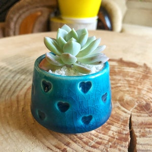 Turquoise small Succulent pot with hearts Succulent | Etsy