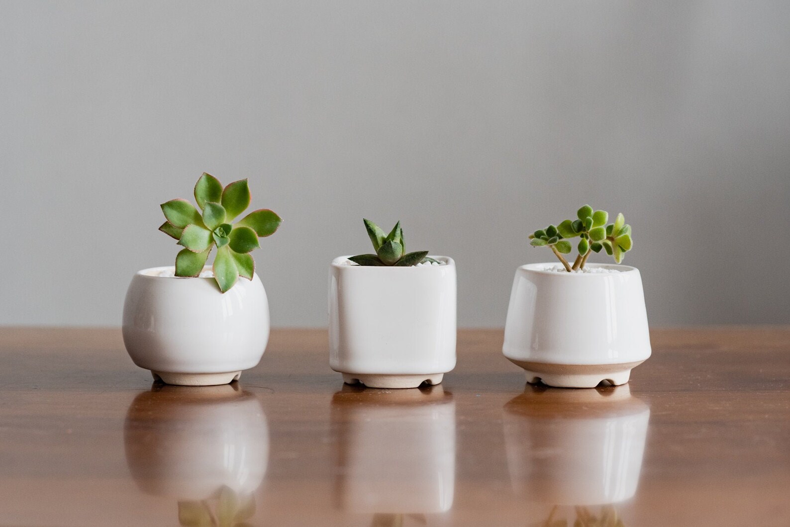 White Small Plant Pot Size M Set of 3 Ceramic Flower - Etsy