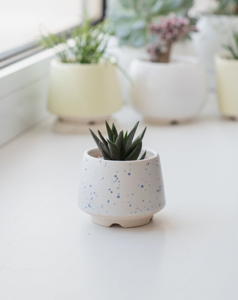 White and Blue Succulent Pot M Size Ceramic Planter for | Etsy