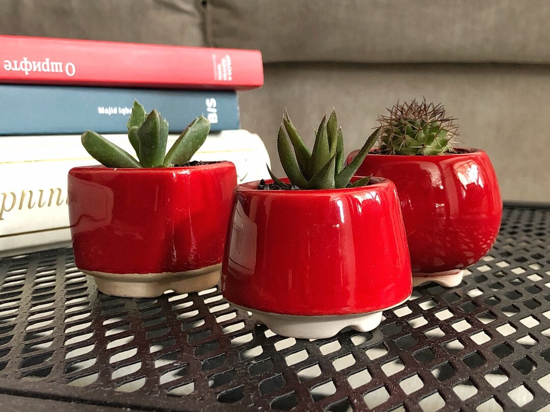 Red Small Plant Pot S Size Set of 3 Ceramic Planter for Succulent ...