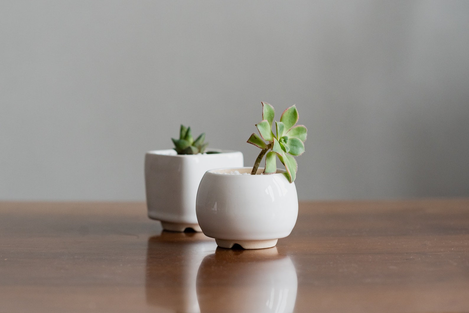 White Small Plant Pot Size M Set of 3 Ceramic Flower - Etsy