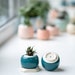 Small Teal Succulent Pot // S Size // Turquoise Round Ceramic - Etsy