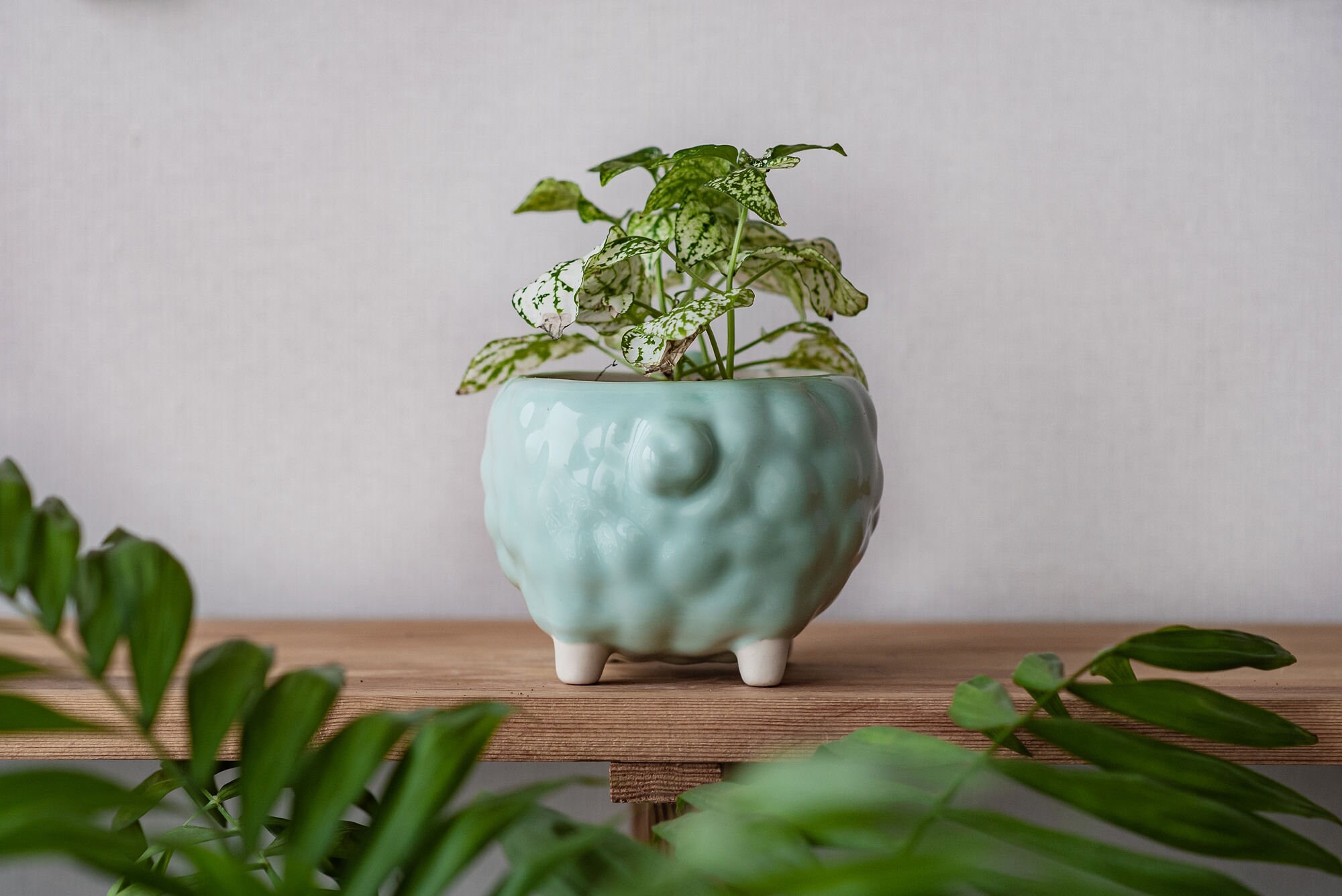 Sheep ceramic plant pot // Green animal planter // Small plant | Etsy