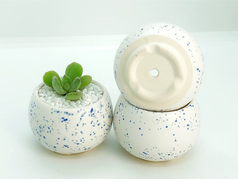 Small white ceramic planter for succulent // Plant lover gift | Etsy