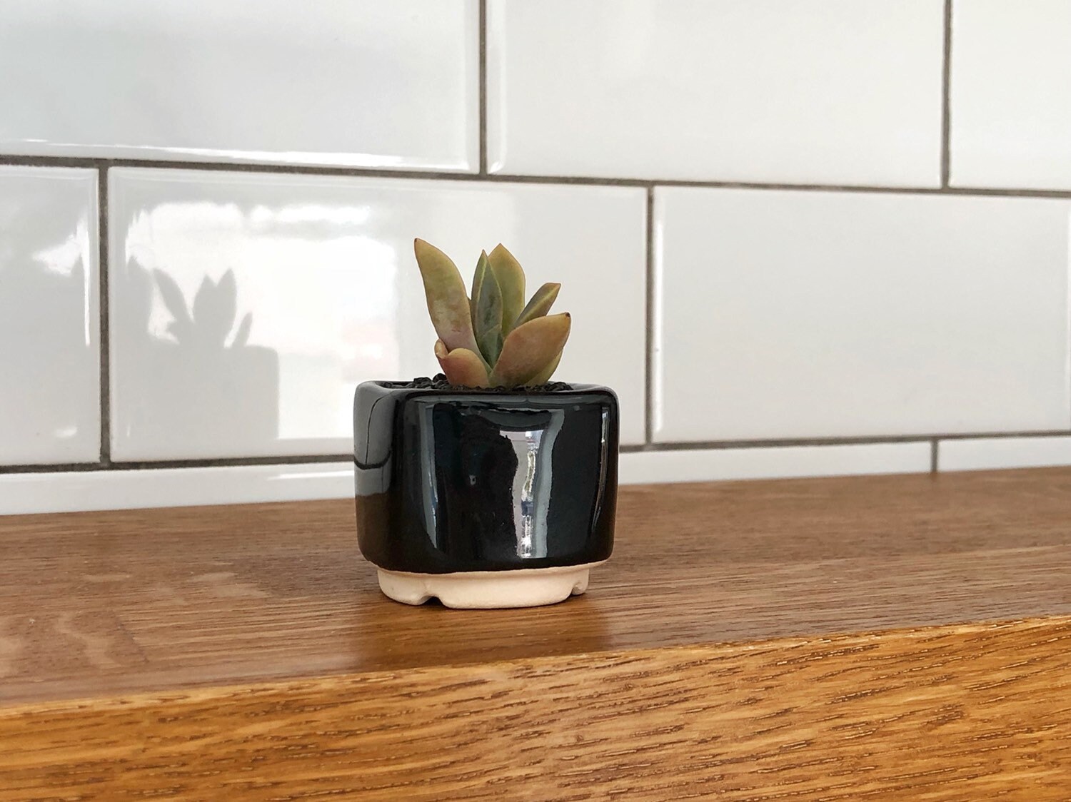 Quadro Mini Plant Pot Classic color set Red White Black | Etsy