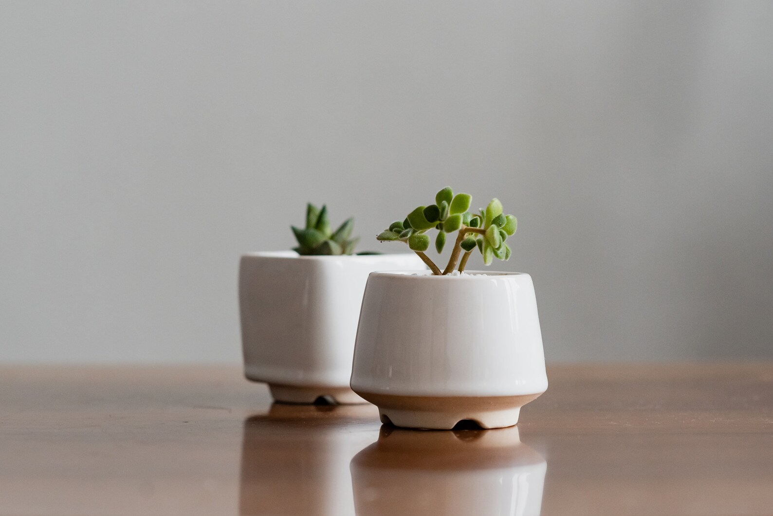 White Small Plant Pot Size M Set of 3 Ceramic Flower - Etsy