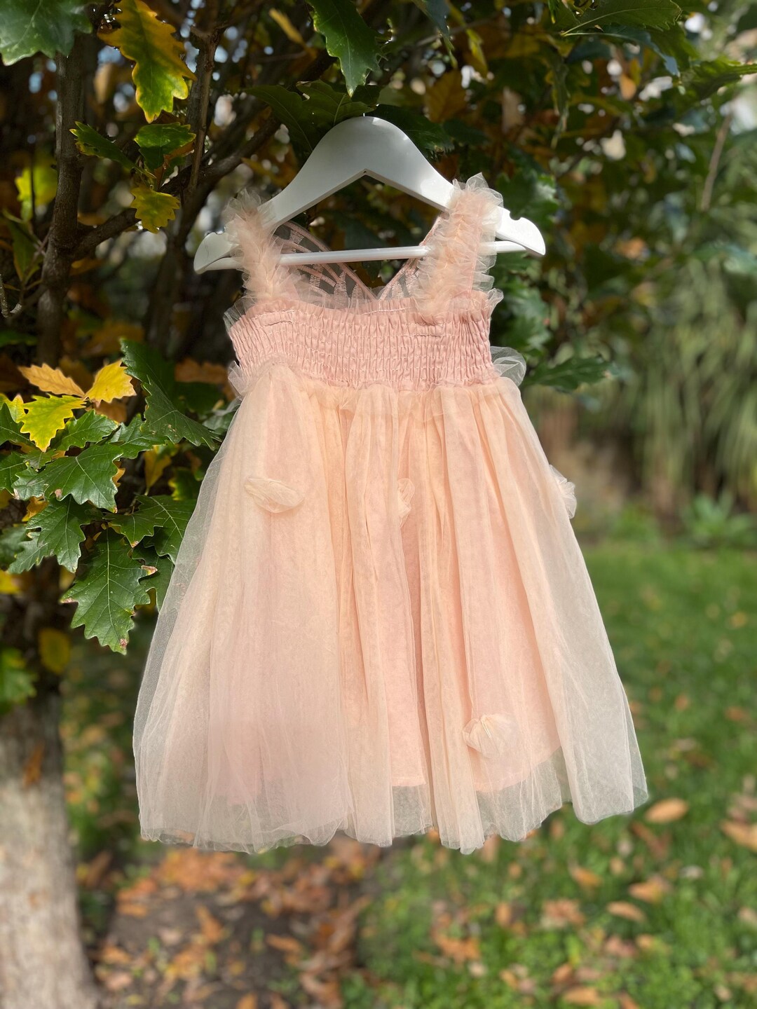 Fairy Wing Dress in Champagne Pink Colour Tulle Dress With Butterfly ...