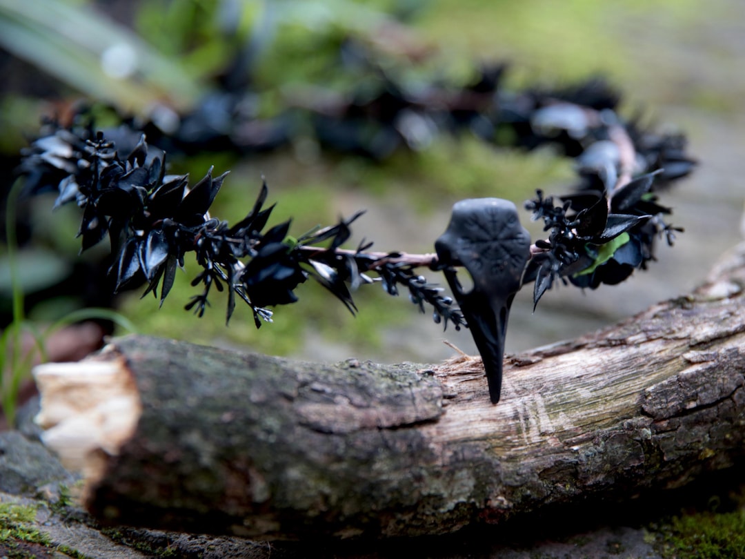 Black Raven Skull Elven Crown, Elven Tiara, Black Fairy Crown, Raven ...