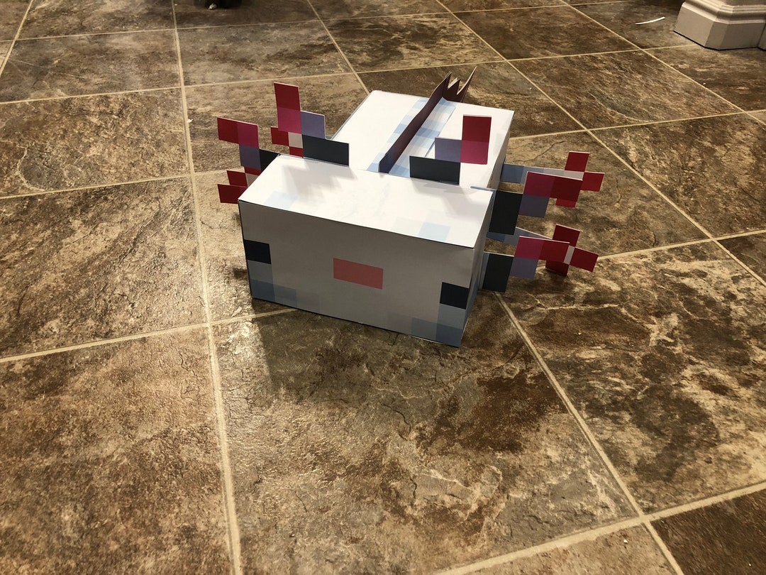Minecraft Axolotl Valentine Box Cute Printable - Etsy