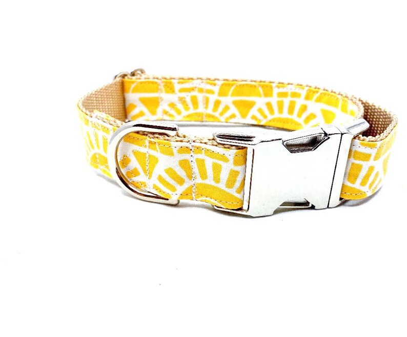 Sunshine Dog Collar Spring/summer Dog Collar Nickel - Etsy