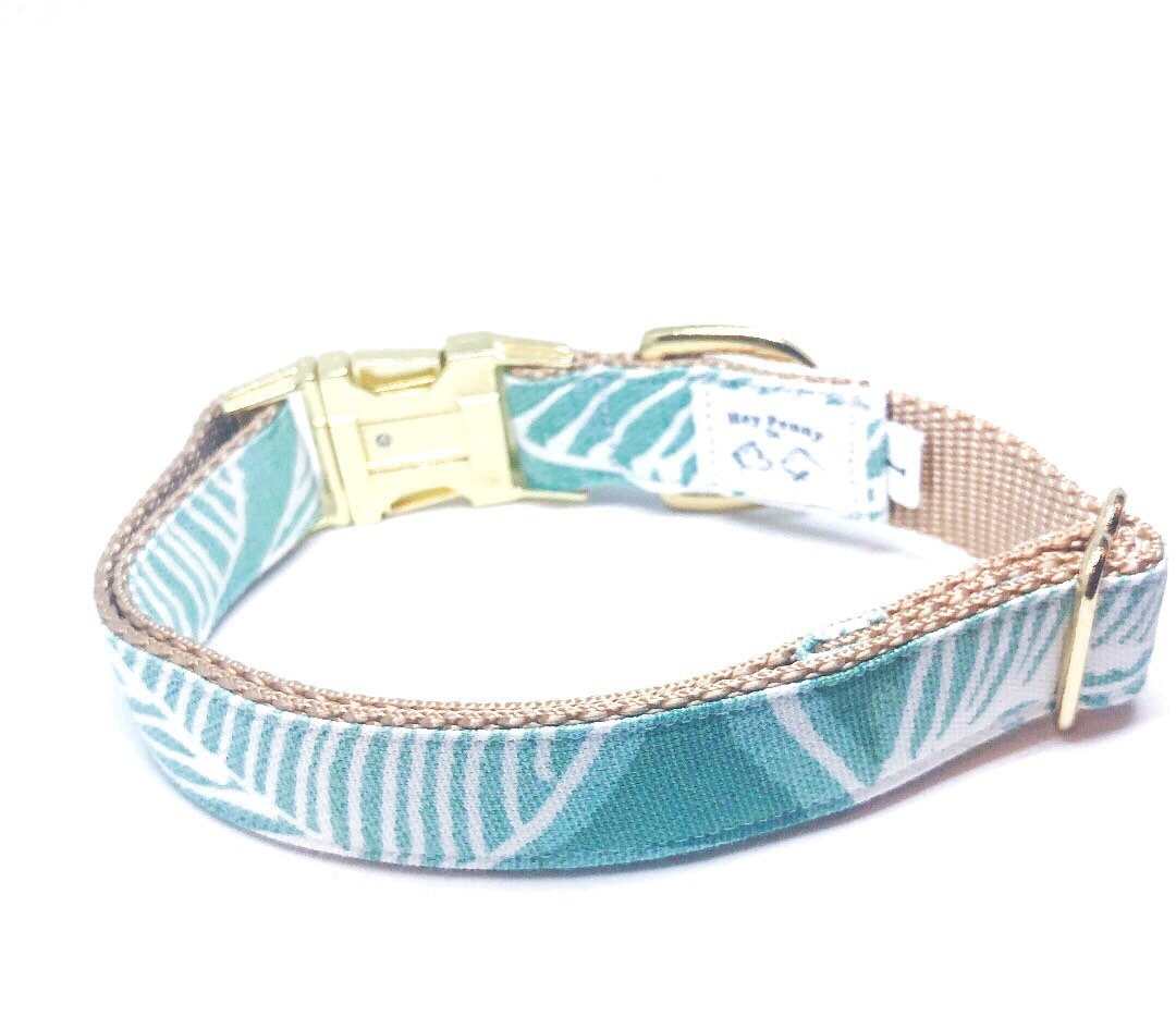 Tropical Dog Collar Green and White Dog Collar Summer Dog | Etsy