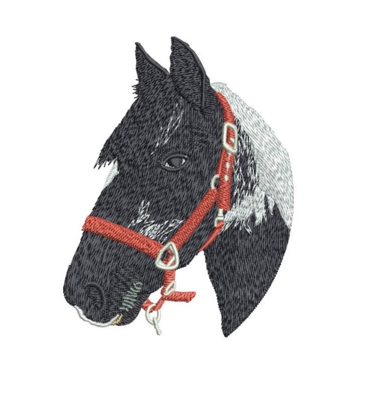 Machine Embroidery Design Coloured Horse Head Pony Wearing Headcollar ...