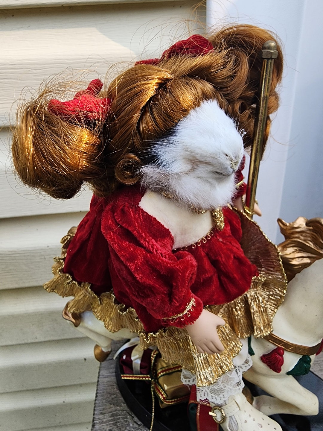 Rabbit Mount Racoon Opossum Taxidermy Mount Obscure Oddities - Etsy