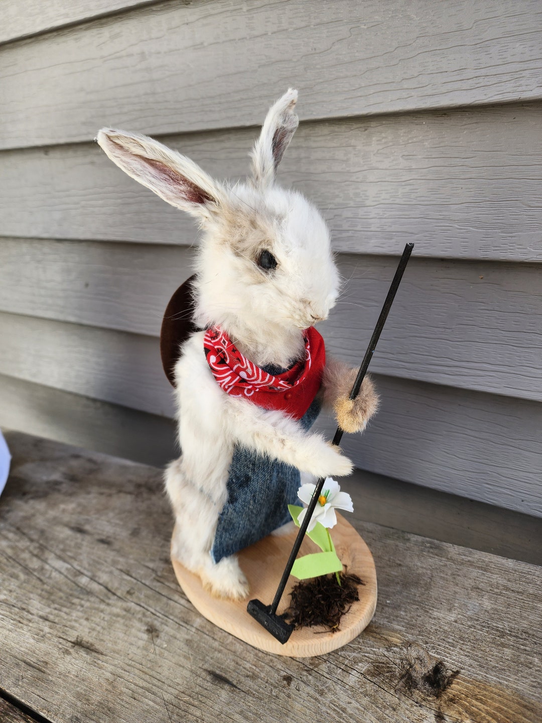 Taxidermy Bunny Rabbit Cabin Mount - Etsy