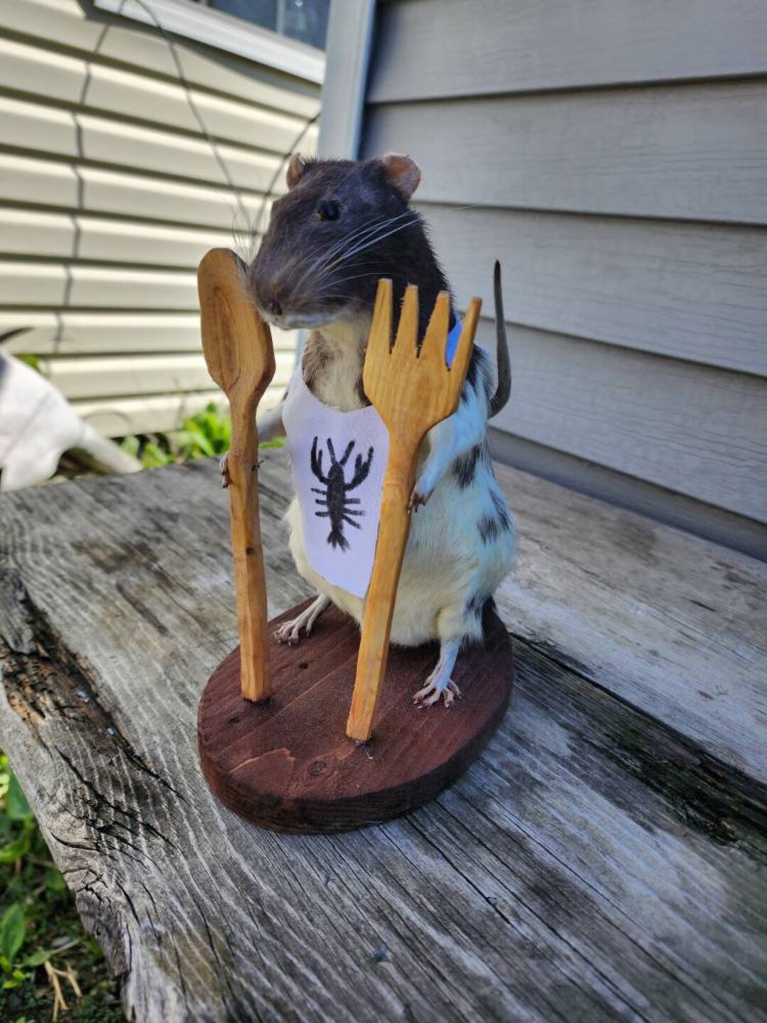 Rat Mount Racoon Opossum Taxidermy Mount Obscure Oddities - Etsy