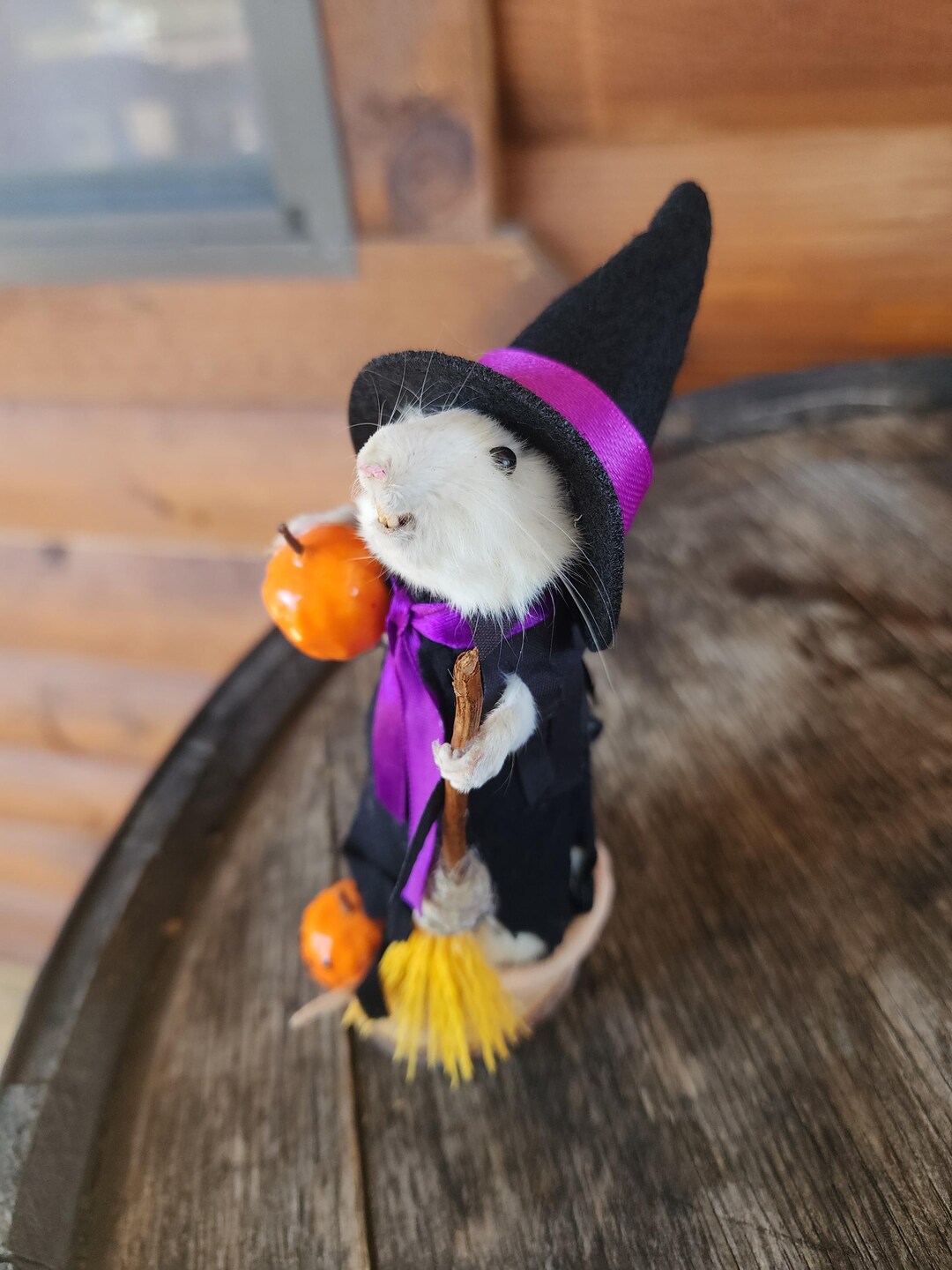 Baby Rat Mount Racoon Opossum Taxidermy Mount Obscure Oddities Chipmunk ...