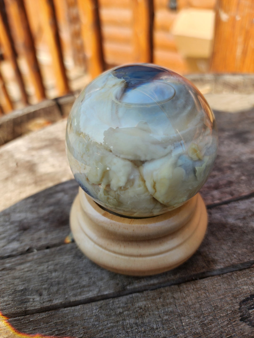 GLOBE Wet Specimen Sheep Eyes Lamb Ball Python Taxidermy Mount Formalin ...